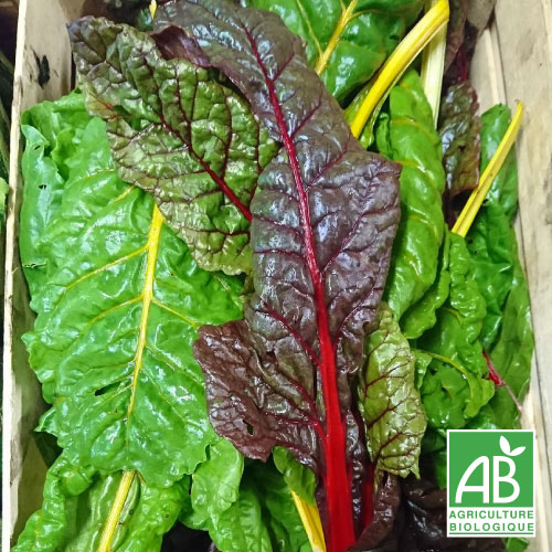 Blette jaunes ou rouges 300g - Biperduna, producteur de piment basque