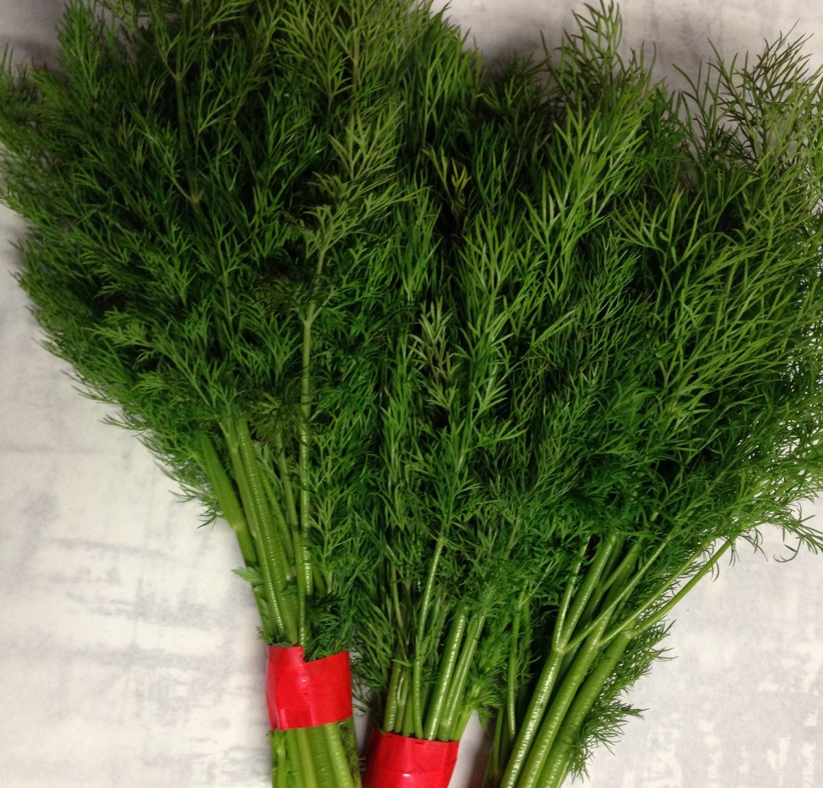 Aneth frais 30gr - Biperduna